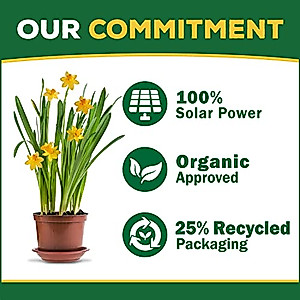 Espoma Organic Violet! 8-Ounce Concentrated Plant Food – Plant Fertilizer and Bloom Booster for All Violets and Indoor Flowering Plants. Promotes Vigorous Growth and Blooming.