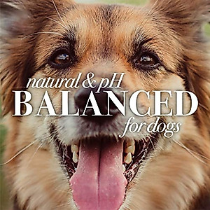 Burt's Bees for Pets Natural Skin Soothing Shampoo with Honey | Dog Shampoo for All Dogs and Puppies | Safe for Dogs with Dry and Sensitive Skin | pH Balanced for Dogs - Made in USA, 16 Ounces