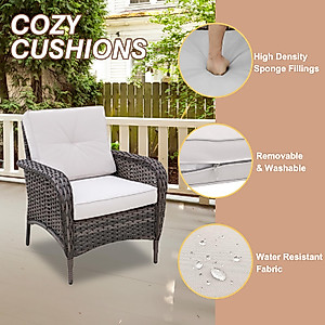COOS BAY 2-Piece Outdoor Wicker Patio Chair, 2pc PE Rattan Dining Chairs for Garden, Lawn, Deck, Backyard, Beige/Brown