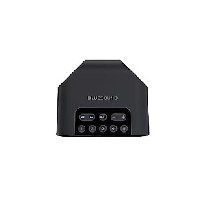 Bluesound Pulse Flex 2i Portable Wireless Multi-Room Smart Speaker with Bluetooth - Black - Compatible with Alexa and Siri