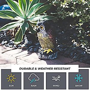 Galashield Owl Decoys to Scare Birds Away | Plastic Owls to Scare Birds Away | Owl Statue for Garden & Outdoors [Set of 2]