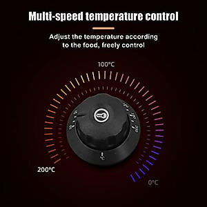 DULONG Commercial Electric Deep Fryer Countertop Stainless Steel Deep Fryer with Temperature Control Single Large Tank French Fries for Restaurant Home Kitchen (2000W 10L)