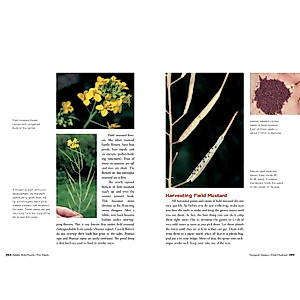 Edible Wild Plants: Wild Foods From Dirt To Plate (The Wild Food Adventure Series, Book 1)