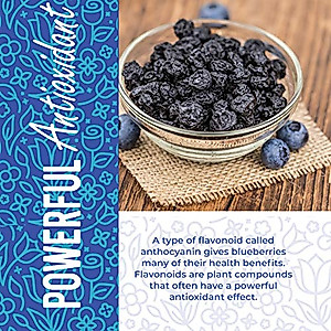 Whole Dried Blueberries, No Sugar Added, Bulk, Dehydrated, Dried Unsweetened Blueberries, All Natural, Non-GMO, 1 Pound. - 16 oz.
