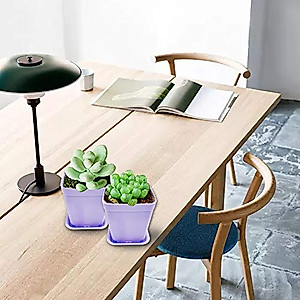 24 Pack Plastic Square Nursery Pots 3 Inch Plastic Plant Pots,Flower Pot with Tray Saucer for Indoor Outdoor Garden Office Decor