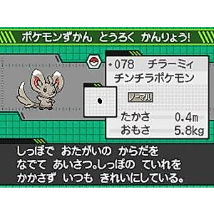 Pokemon Black [DSi Enhanced] [Japan Import]