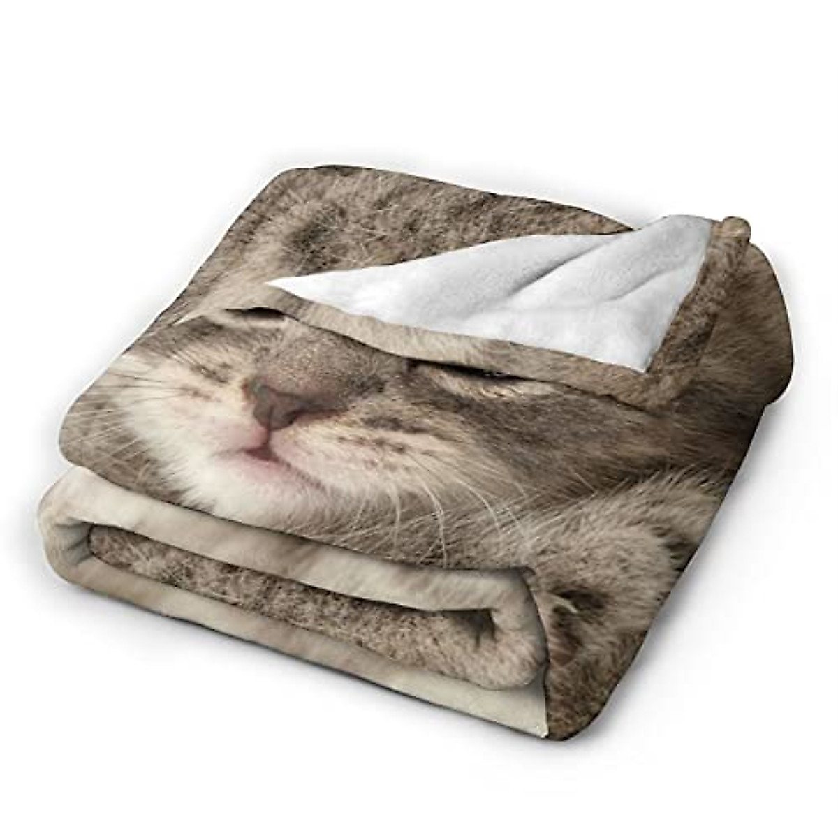 Cute Cat Blanket Plush Warm Throw Blanket Soft Comfort for Sofa Chair Bed Office Travelling Camping 50"x60"