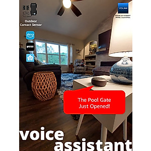 YoLink LoRa Smart Outdoor Contact Sensor & SpeakerHub Starter Kit: SpeakerHub Audio hub, (2) Gate & Shed Door Sensors, Email/SMS/Push Alerts, 1/4 Mile Open Air Range, Alexa, IFTTT, Home Assistant