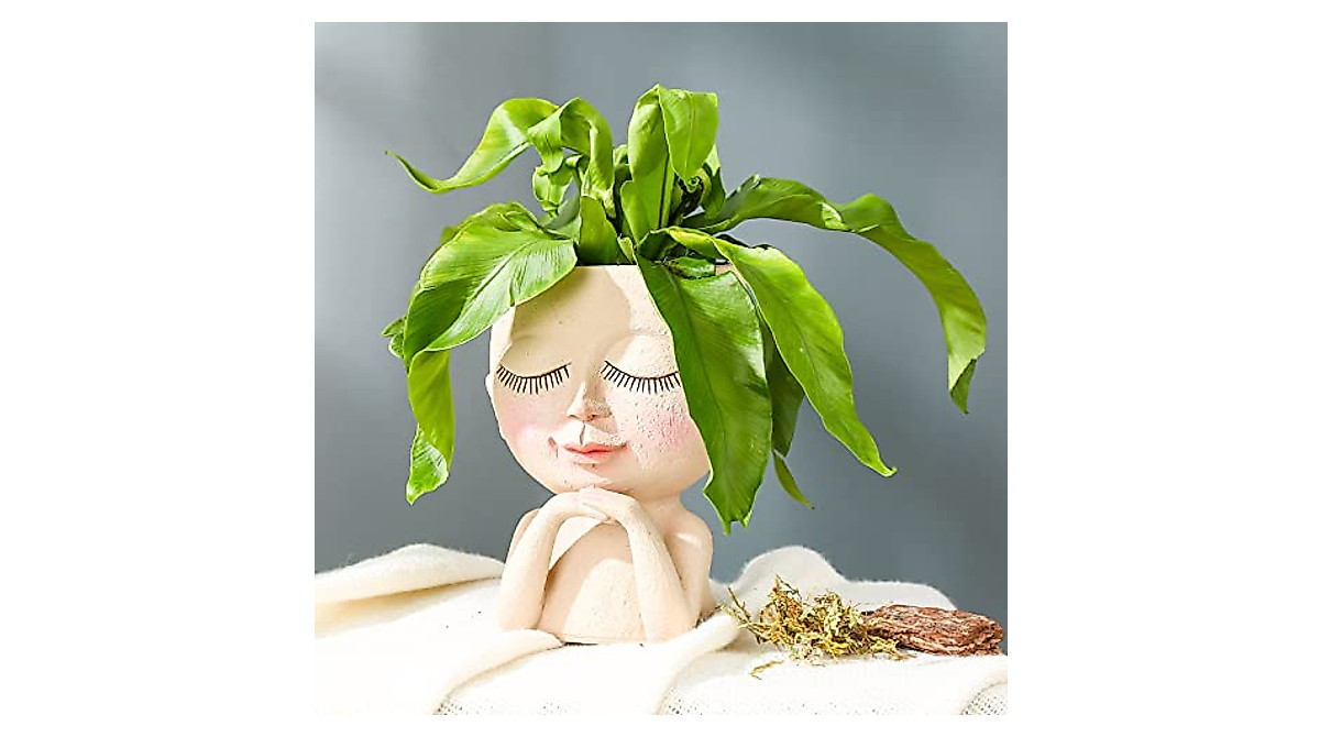 Cute Face Succulent Planter - Unique Head Flower Pot with Drainage