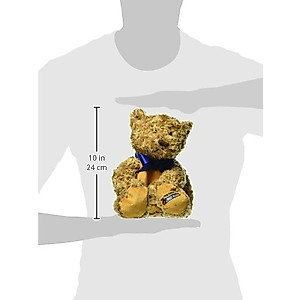 Bed Buddy Microwavable Weighted Stuffed Animal Teddy Bear and Plush - Calming Bear for Adults and Kids, 2 Pounds, Good for All Ages