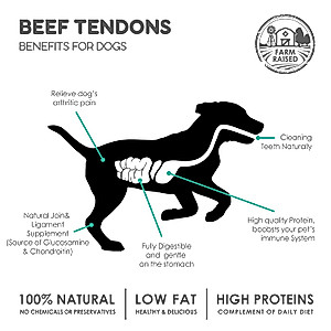 SuperCan Bully Sticks Beef Tendon Chews for Dogs (4-7 Inch Thick Sticks: 10 Count) | Natural Farm Raised Cattle Treats | Long Lasting as Bully Sticks | Promoting Healthy Joints & Hip