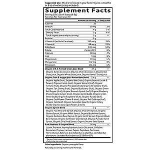 Garden of Life Raw Organic Perfect Food Green Superfood Juiced Greens Powder - Original Stevia-Free, 30 Servings, Non-GMO, Gluten Free Whole Food Dietary Supplement, Alkalize, Detoxify, Energize