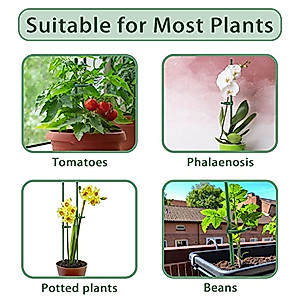 Plant Stakes Green Adjustable Garden Single Stem Plant Support Stakes,19Pcs Plant Support Sticks with Rings for Indoor and Outdoor Plants,Flowers,Tomatoes-18 inches