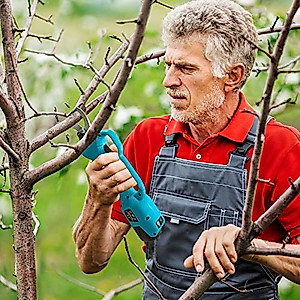 Cekegon 1 Inch Electric Pruner Shear with Long Reach Pruner, 2 x 2Ah batteries, 16.8V, Professional Cordless Electric Pruning Shears Secateurs