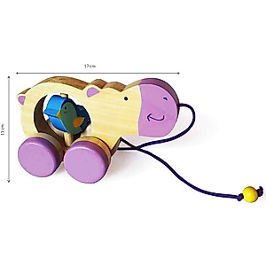 Shumee Wooden Hippo Pull Along Toy (1 Year+) with Attached String - Encourage Walking, Develop Hand-Eye Coordination, Build Gross Motor Skills