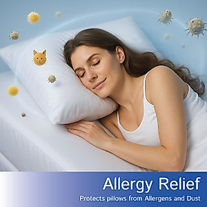 Four Seasons Essentials Standard Pillow Protectors (Set of 2) – Zippered Waterproof Pillow Covers Hypoallergenic Dust Proof Pillowcase Encasement Cover