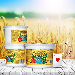 LAFEBER'S Classic Nutri-Berries Pet Bird Food, Made with Non-GMO and Human-Grade Ingredients, for Parakeets (Budgies), 4 lb
