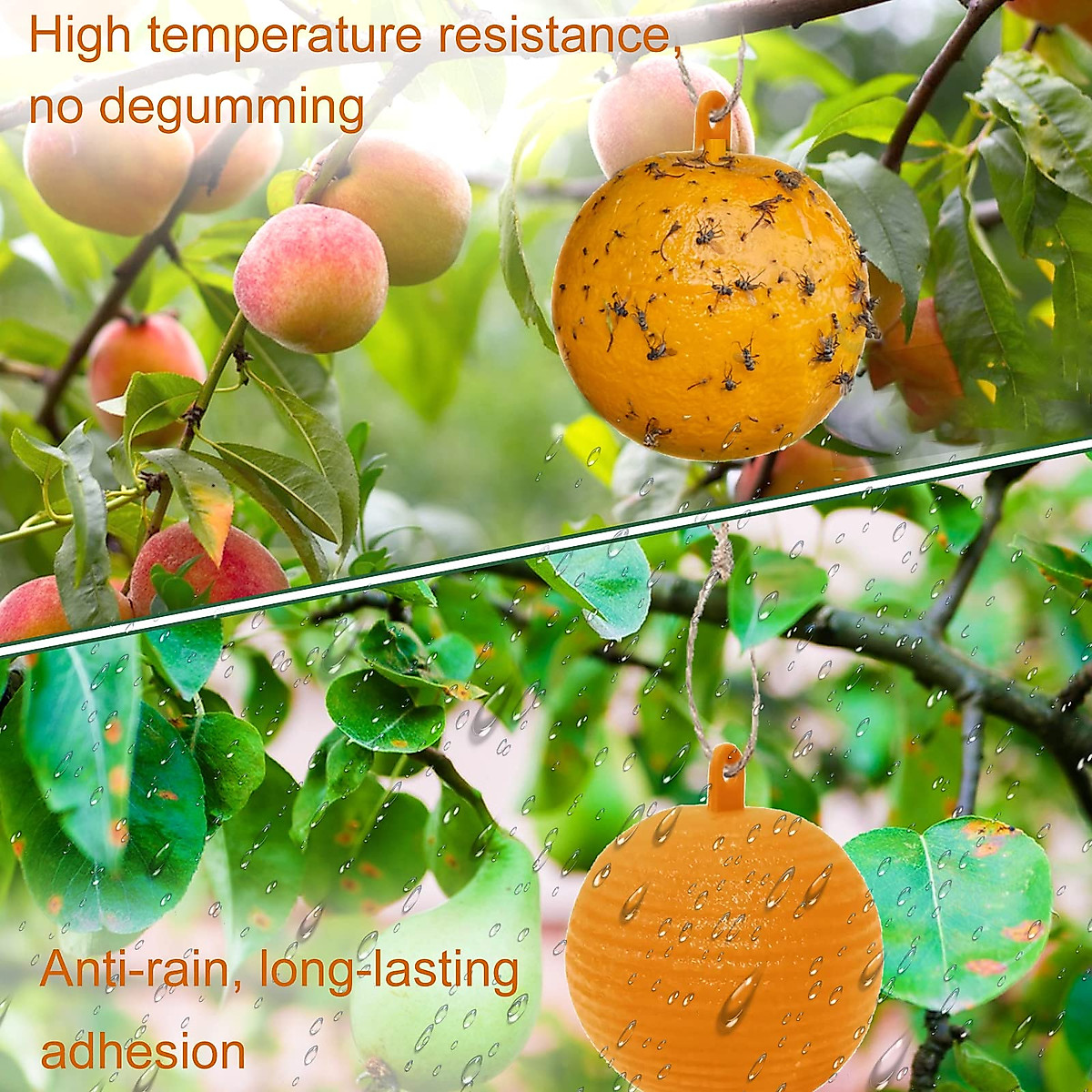 osseph Fruit Fly Traps Ball Sticky Traps Ball, 6 PCS Gnat Traps Flying Insects Traps Ball for Indoor Outdoor House Kitchen Plants Trees Flying Insects (6PCS, Yellow)