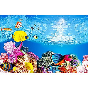 Amalong New seafloor, Marine Fish Background Aquarium Background Decoration 25 x 15 (inches)