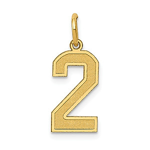 Solid 14k Yellow Gold Medium Number 2 Charm Brushed Matte Finish Pendant - 20mm x 8mm