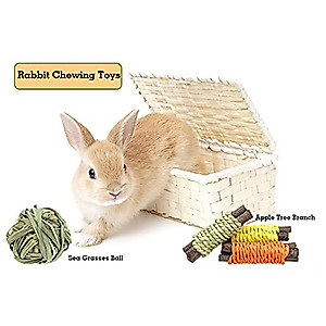 CooShou 13Pcs Rabbit Chew Toys for Small Animals - Bunny Natural Hay Activity Balls Rabbit Apple Sticks Sweet Bamboo Timothy Hay Sticks Grass Carrots for Hamster Guinea Pig Dental Health