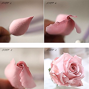10 Pcs Austin Rose Cutter Set and 2 Pcs Rose Petals Shape Silicone Fondant Mold Veining Petal Sugar Flower Making Tool Cake Decorating Gumpaste Flowers Decor Kit