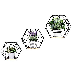 Admired By Nature Wall-Mounted Metal Wire Hanging Storage Shelves, A. Black