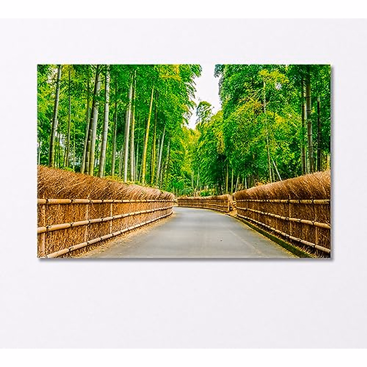 Bamboo Forest Canvas Print 1 Panel / 36x24 inches