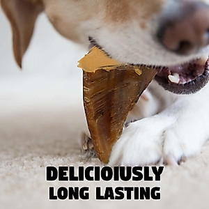 Downtown Pet Supply Dog Bones - Cow Hooves for Dogs Made in USA - Dog Dental Treats & Rawhide Free Dog Chews - Dog Chew Bones - Grass Fed Beef Hooves Stuffed with BBQ - 5 Pack