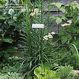 GardenMate 25-Pack Weatherproof XL Metal Plant Labels, Height 21", Label Area 3 1/2'' x 1 1/4''
