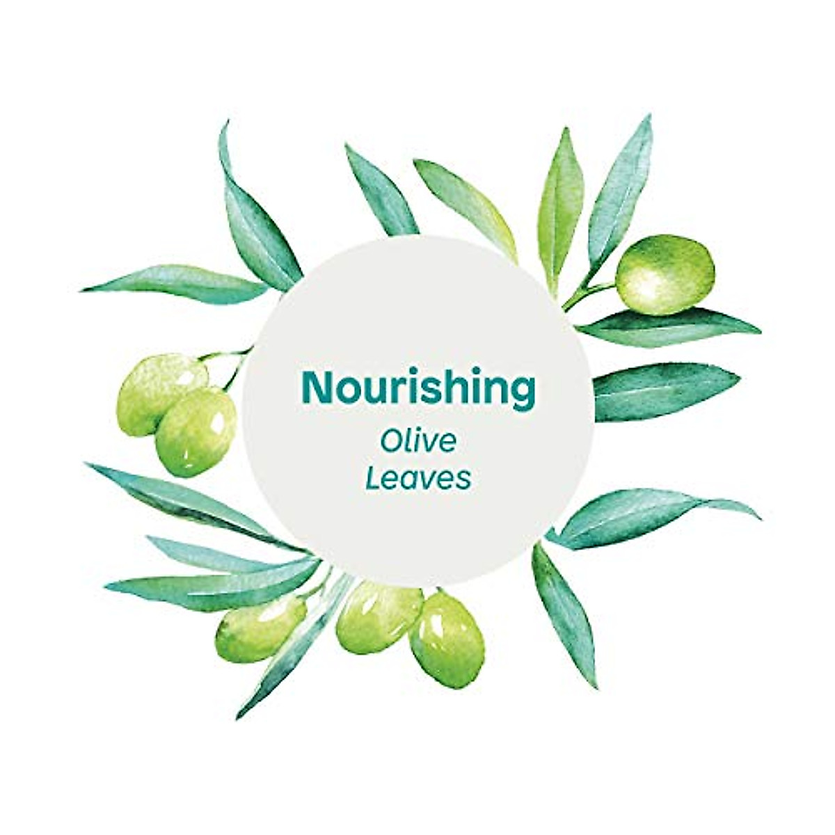 ATTITUDE Nourishing Body Wash, for Dry & Sensitive Skin, EWG Verified, Hypoallergenic, Vegan, Cruelty Free, Olive Leaves, 16 Fl Oz (11293)