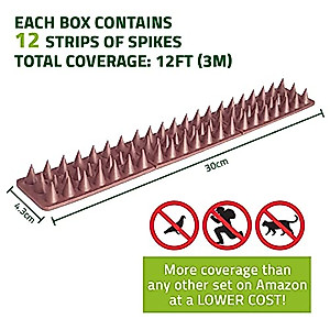 De-Bird Bundle Includes: Defender Spikes 12 pk & Heavy Duty Trellis Netting - Keep Away Pigeon, Woodpecker & Cats from Your Garden and Crops