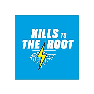 Groundclear Ortho Super Weed & Grass Killer, 24oz