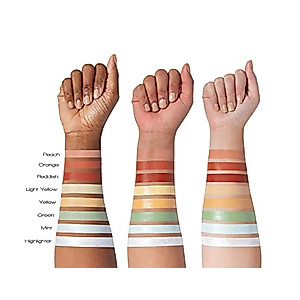 L.A. Girl Pro Conceal HD Concealer,0.28 Ounce (Orange Corrector)