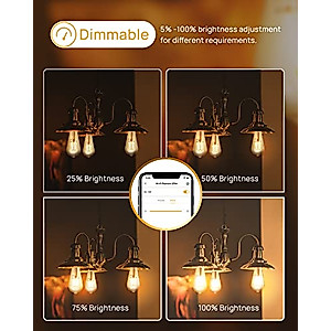 Linkind Smart Edison Bulbs, WiFi LED E26 Edison Bulbs, Dimmable ST64 Vintage Filament Light Bulb, 45W Equivalent, 2200K Soft White, 350lm, Compatible with Alexa, Google Home, No Hub Required, 2 Pack