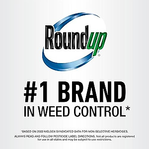 Roundup Poison Ivy Plus Tough Brush Killer₂ Concentrate, Visible Results in Hours, 32 fl. oz.