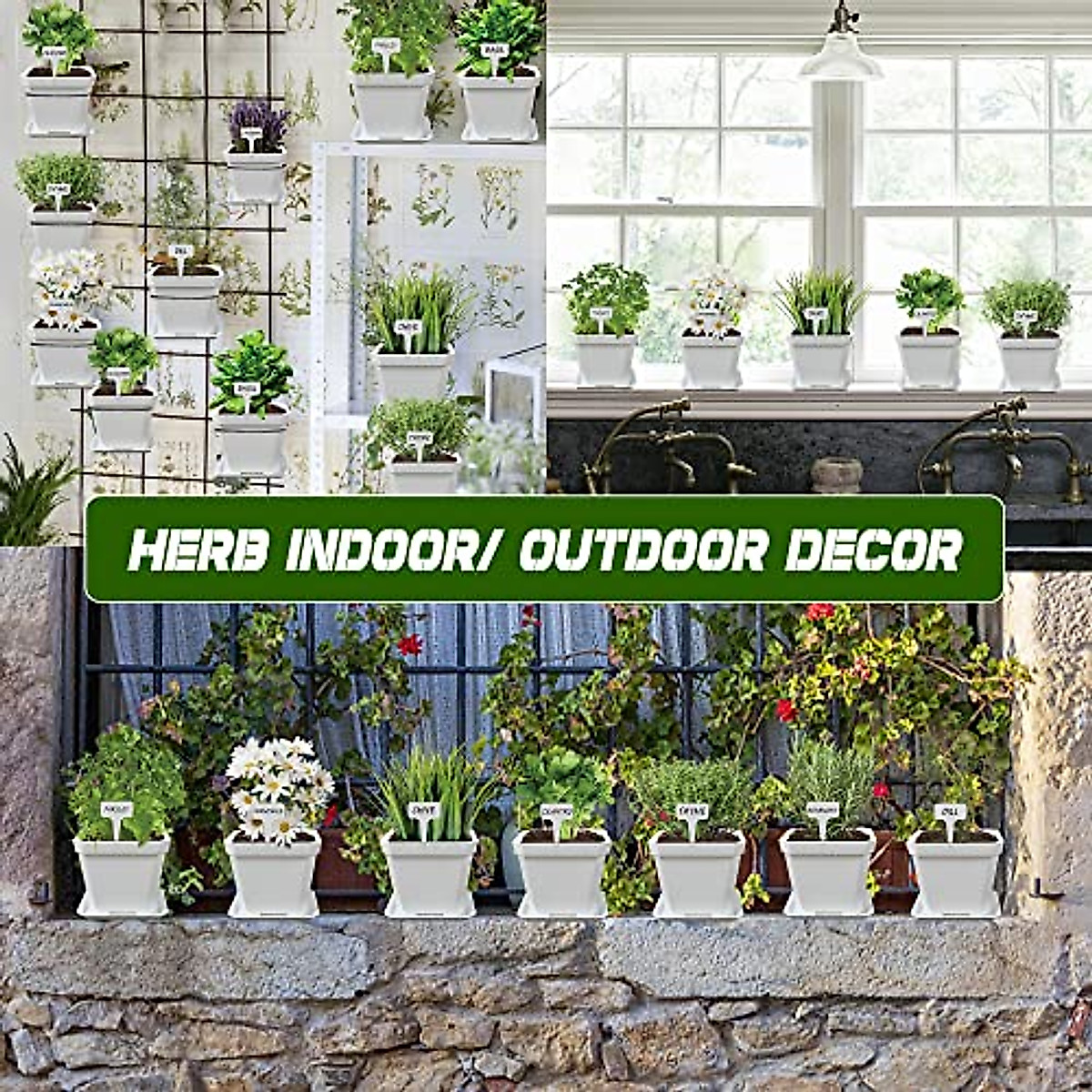 Herb Grow Kit, 10 Herb Seeds Garden Starter Kit, Complete Potted Plant Growing Set Including White Pots, Markers, Nutritional Soil, Watering, Herb Clipper for Kitchen Herb Garden DIY