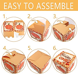 Little Pumpkin 1st Birthday Fall Decorations Balloon Boxes,3pcs One Boxes in Fall Little Pumpkin Theme for First Birthday Baby Party Decorations Supplies