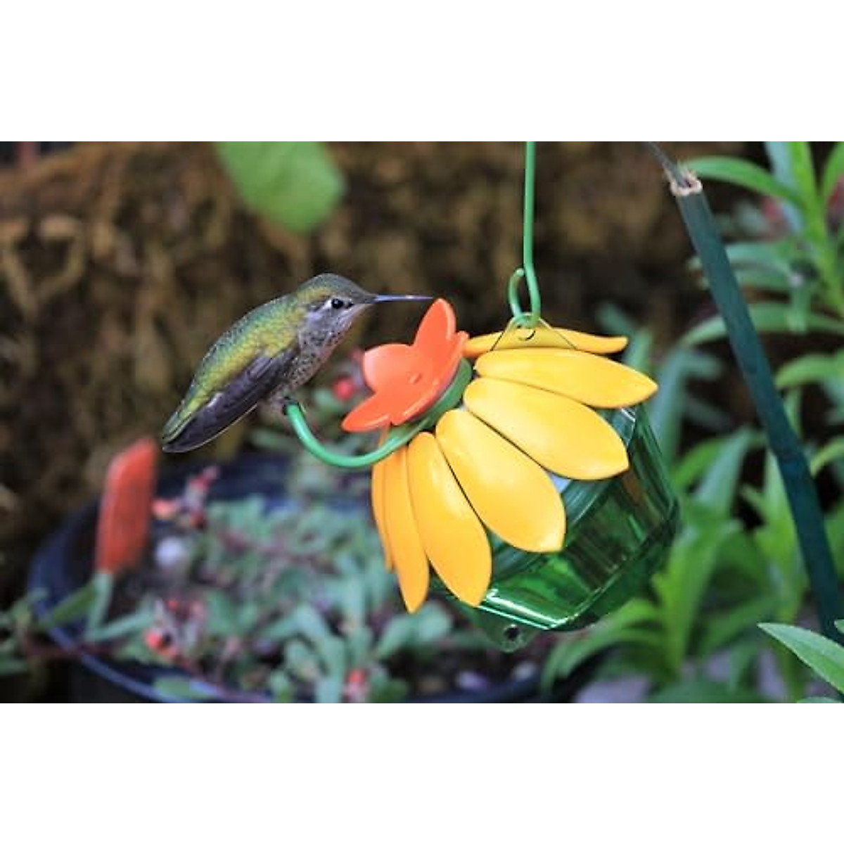 Wild Wings WWSFHF5 So Real Single Flower Hummingbird Feeder, Red/Yellow (2-Pack)