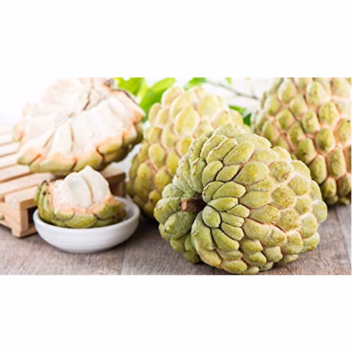 2 Sugar Apple Trees Plants Live 8 Inc Tall for Planting Ornaments Perennial Garden Simple to Grow Pots