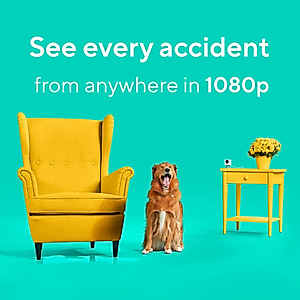 Wyze Cam V2 Pet Monitoring Camera Indoor Security Camera for Dogs & Cats Nursery Elderly Baby Monitor, Compatible with Alexa & Google Home IFTTT,1080p,Audio and Motion