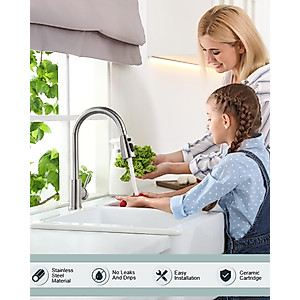 Kitchen Faucet with Sprayer Kitchen Sink Faucet Single Handle Brushed Nickel and Bathroom Faucet 1 Handle Low Arc WOWOW