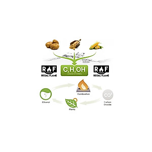 Regal Flame Elite Bio Ethanol Fireplace Fuel 6 Pack - Indoor/Outdoor