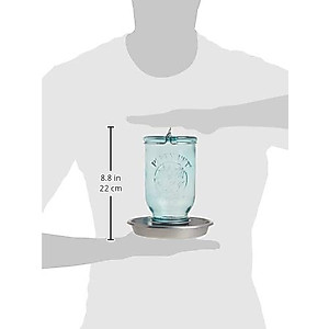 Perky-Pet 1 Mason Jar Wild Bird Waterer 783, Blue