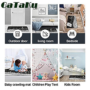 CaTaKu Animal Lion Area Rug 39x20 Inches Polyester , Scary Lion Area Rug Floor Rug Runner Washable Carpet Mat for Kitchen Dinning Room Home Decorative