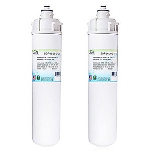 Swift Green Filters SGF-96-29 CTO-S Compatible Commercial Water Filter for EV9617-26, EV9617-21 (2 Pack),Made in USA