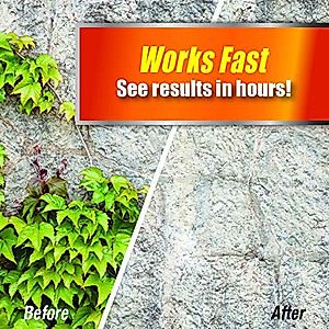 Messina Wildlife Pulverize PWBV-U-032 Weed, Brush & Vine Killer Spray - Fast Acting, Non-Staining Weed and Crabgrass Killer - 32 Ounce Trigger Spray Bottle