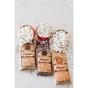 Amish Country Popcorn | 3-1 lb Bags | 1 lb Baby White, 1 lb Ladyfinger, and 1 lb Purple Popcorn Kernels Variety Pack | Old Fashioned, Non-GMO and Gluten Free (3-1 lb Bags)