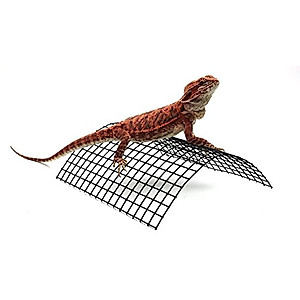 Carolina Custom Cages' Bearded Dragon Tanning Arch, Reptile Habitat Accessory