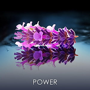 Philipp Plein – Eau de Parfum No Limits 90 ml – Parfum Homme – Notes Orientales et Boisées – Un Tatouage Olfactif Indélébile et Sensuel – Boisé Oriental – Flacon en Verre Laqué Noir